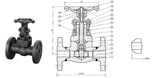 Z41Y法兰式锻钢闸阀 - 其他阀门 - 四川良工阀门销售有限公司